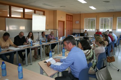 El Comité del II PEUCA aborda el análisis DAFO – II Plan Estratégico de ...